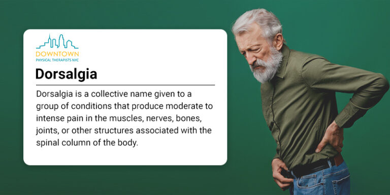 Dorsalgia: What Is It and How Do I Treat It? - Physical Therapists NYC